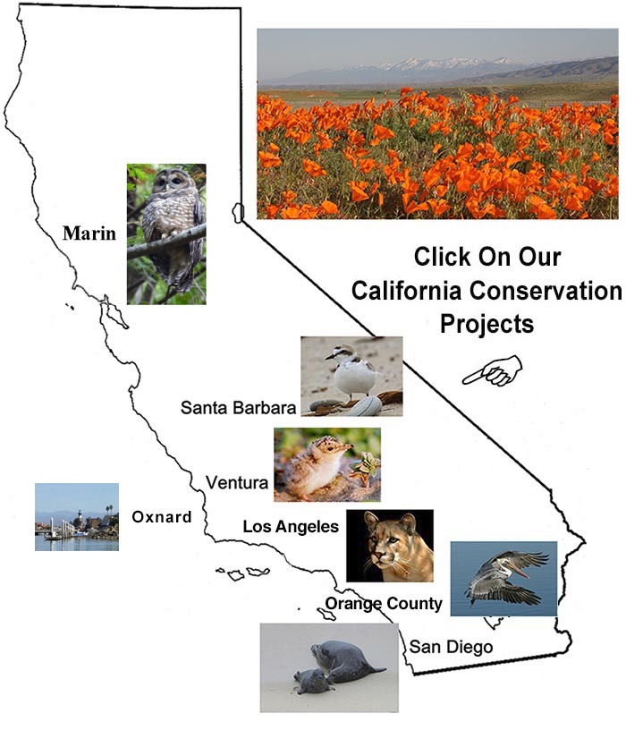 California Projects - Western Alliance for Nature - Preserving Everyone ...